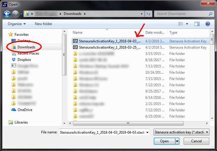 Stenaura | What do I do with my activation key?